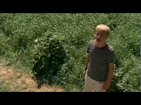 BLÖDE MÜTZE | Kinofilm von Kinderfilm und schlicht und ergreifend