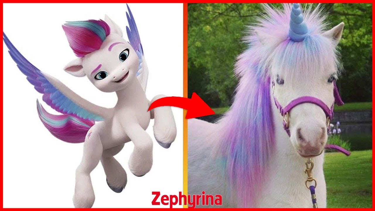 My Little Pony Characters A New Generation IN REAL LIFE @sweetponylife ...