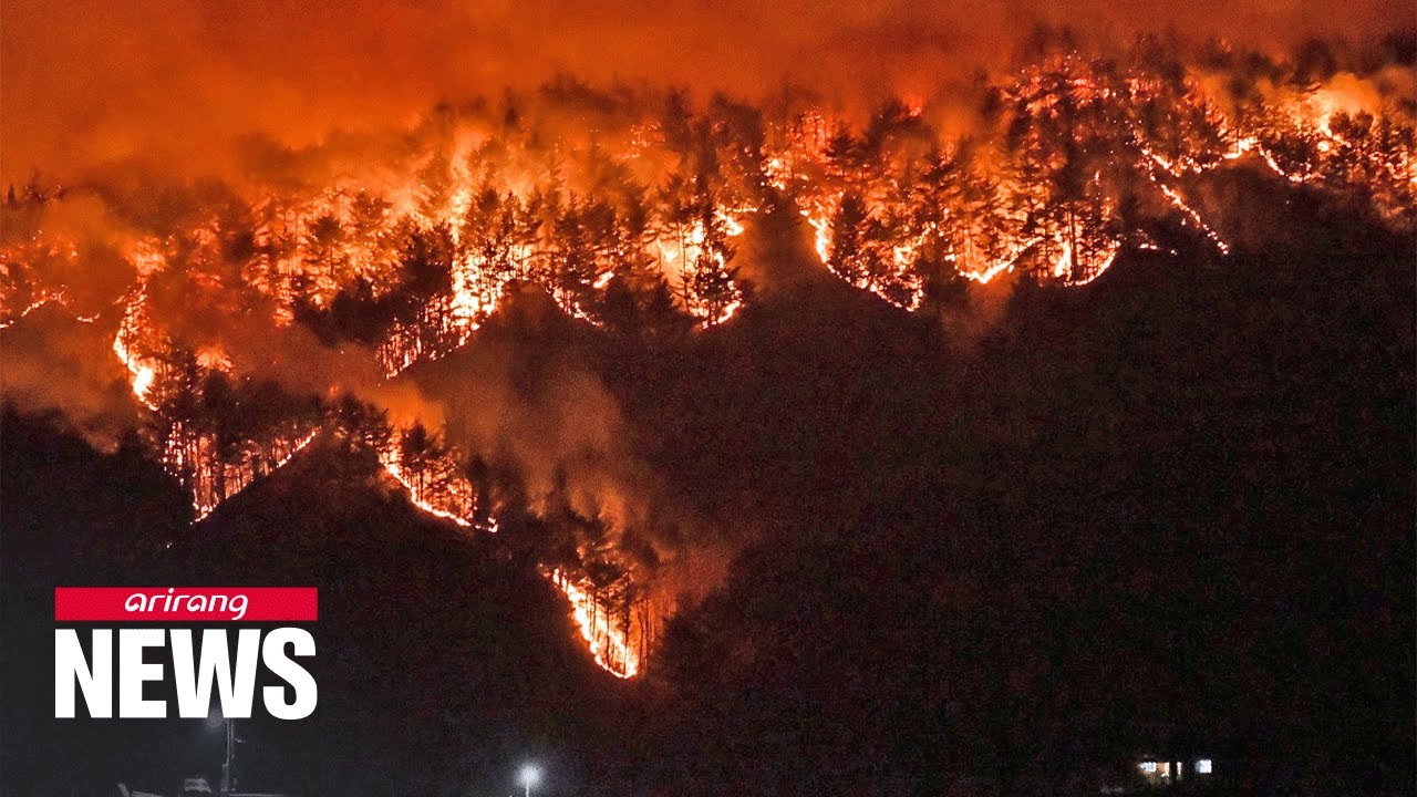 Wildfire in Uljin County prompts evacuation of 3,995 local residents ...