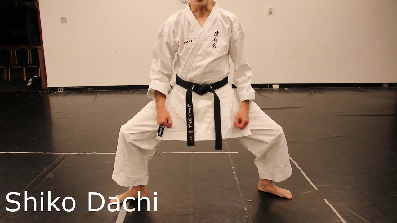 Karate Basics - Stances - YouTube