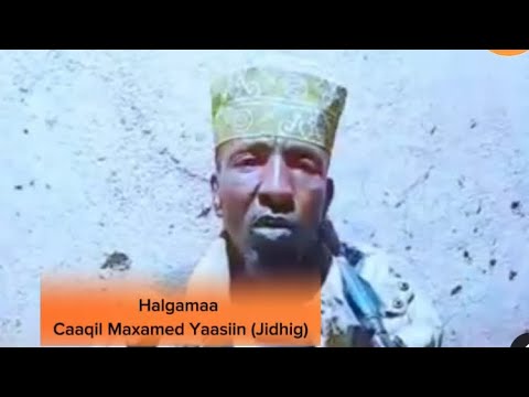 “Halgamaa Caaqil Maxamed Yaasiin (Jidhig) Ceergaabo Maanta Dagaal Kama dhicin, istur-tuur yar ...