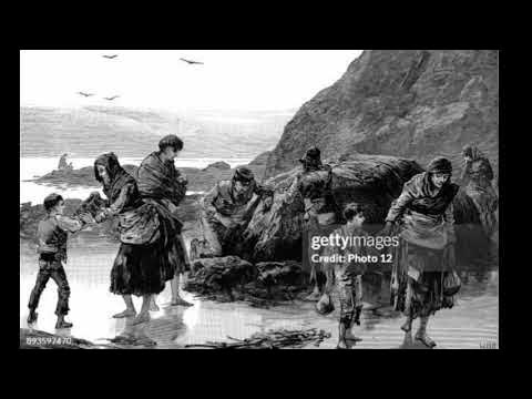 The Irish Potato Famine (1845–1852) - YouTube