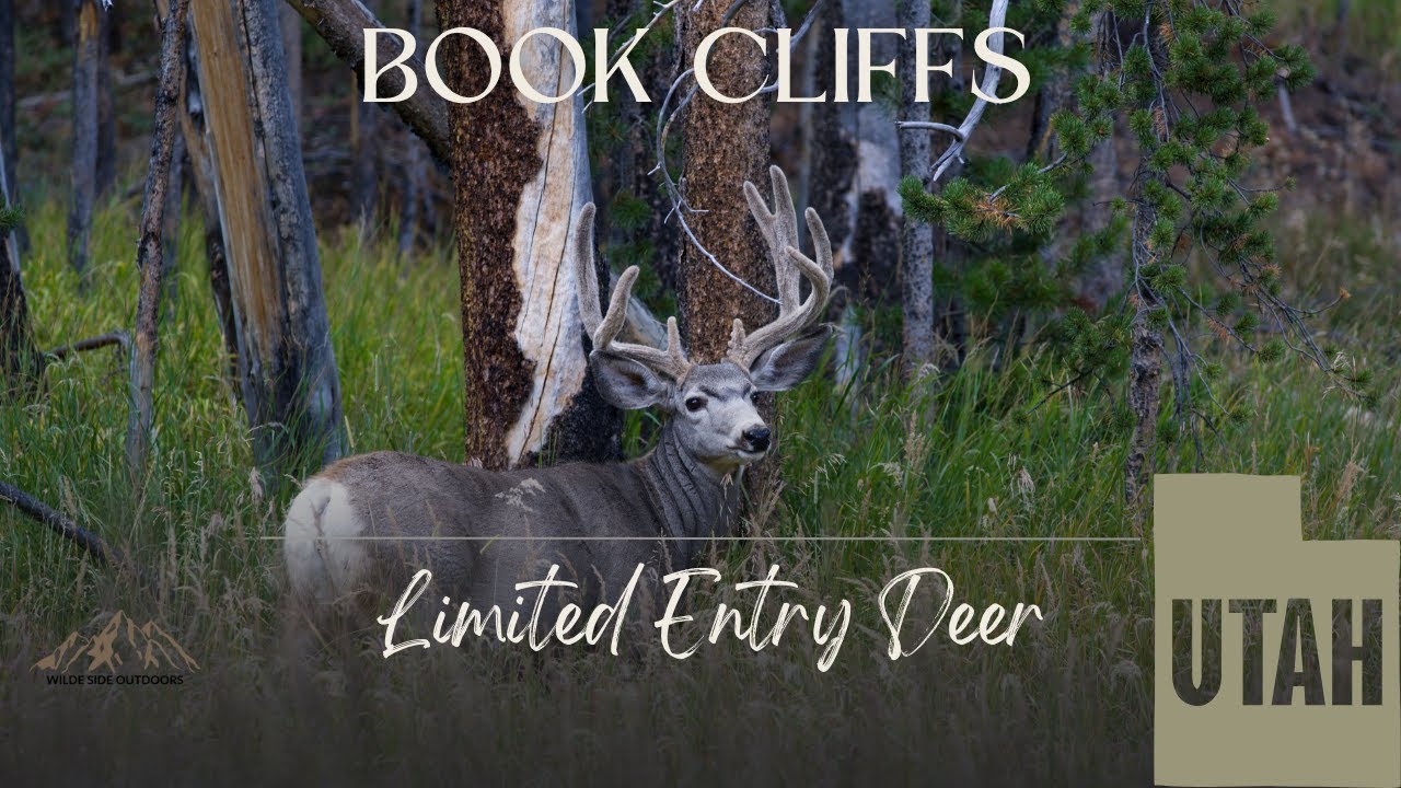 Utah Limited Entry Deer - Book Cliffs - YouTube
