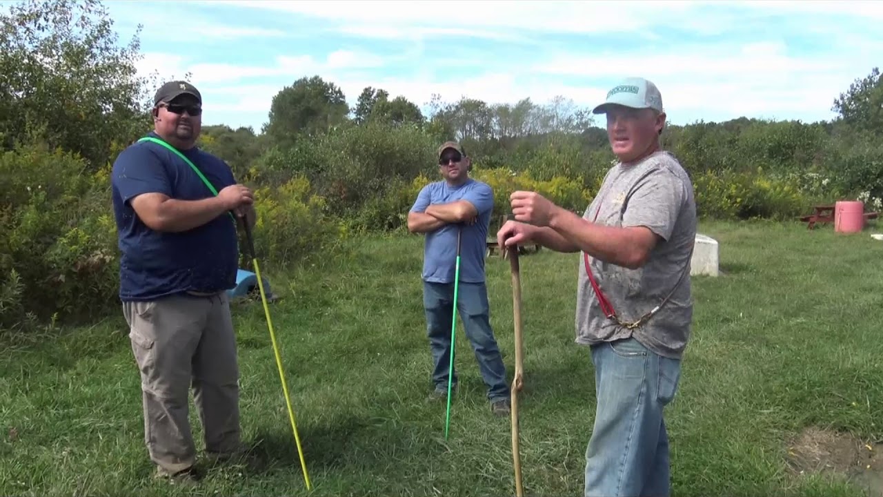 Skyview's Beagles Gun Dog Brace a First Trial Back At Home Club - YouTube