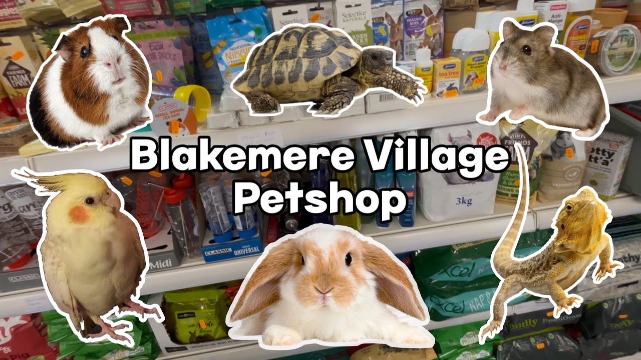 Blakemere Village Pet Shop Has SO Much For Hamsters Guineapigs Dogs ...