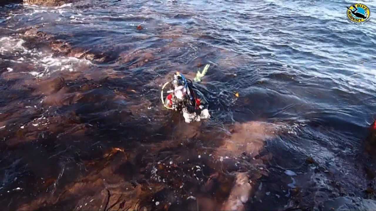 underwater Ireland WILD LIFE pl - YouTube