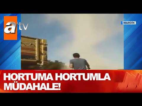 Hortuma hortumla müdahale! - Kahvaltı Haberleri