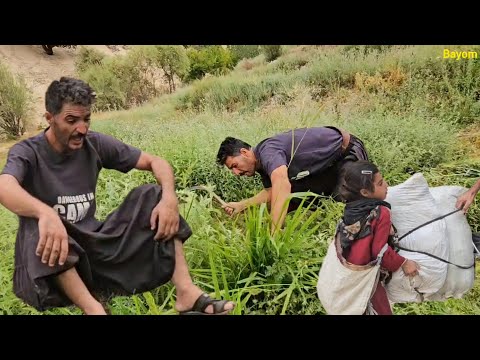 Jahanbakhsh and Yalda's journey to the old man's paradise garden watering thetreespicking green hay