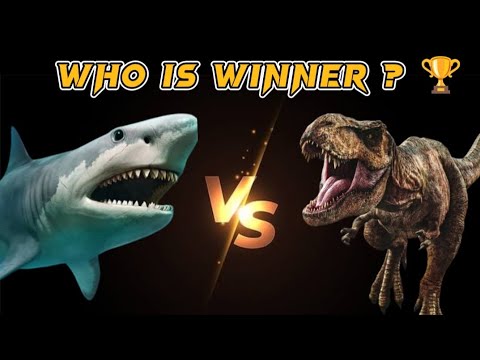 Megalodon vs T Rex | Tyrannosaurus Rex vs Megalodon shark - YouTube