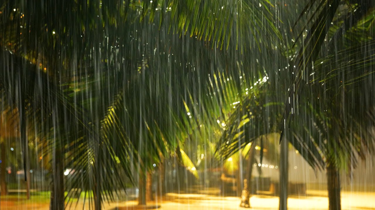 Rain in the Park | Beat Stress and Fall Asleep with Pouring Rain and ...