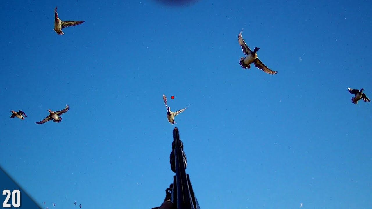 Solo Kayak Hunt in HIGH WIND | Duck Hunting with COOT Decoys - YouTube