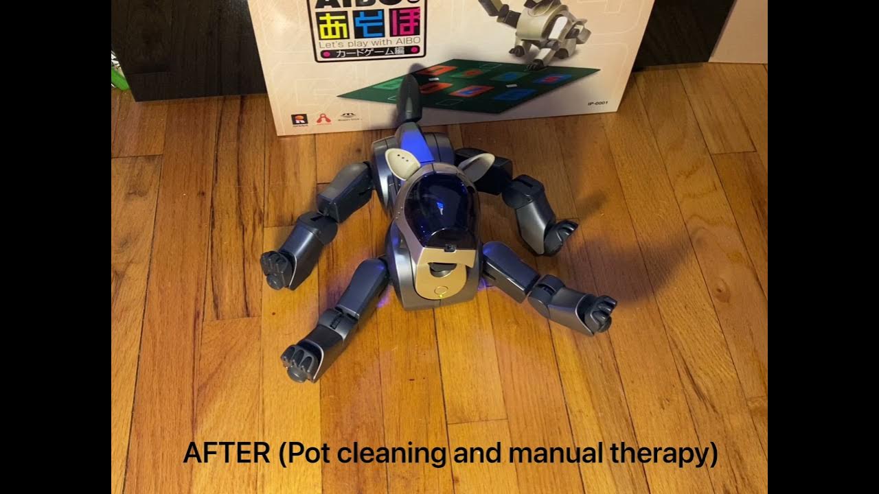 Sony AIBO ERS-210 Jitters Repair - YouTube