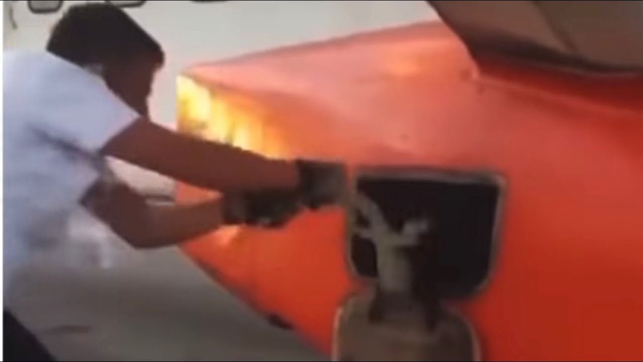 Pilot Battles Lizard Stowaway - YouTube