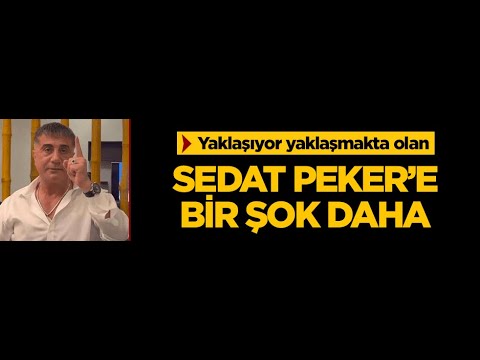Sedat Peker kararı sonrası Türkiye harekete geçti: Tutuklayın