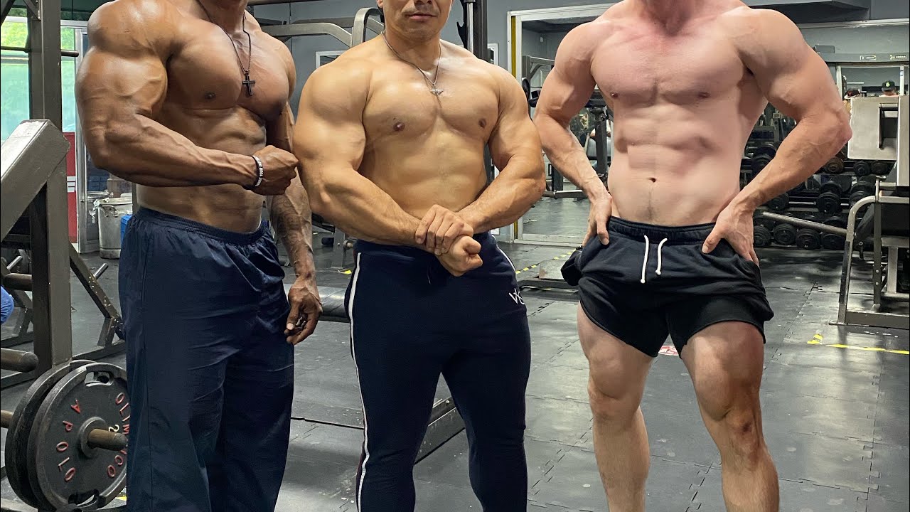 Rogers Cerino pt# 17 espalda Y abdomen - YouTube