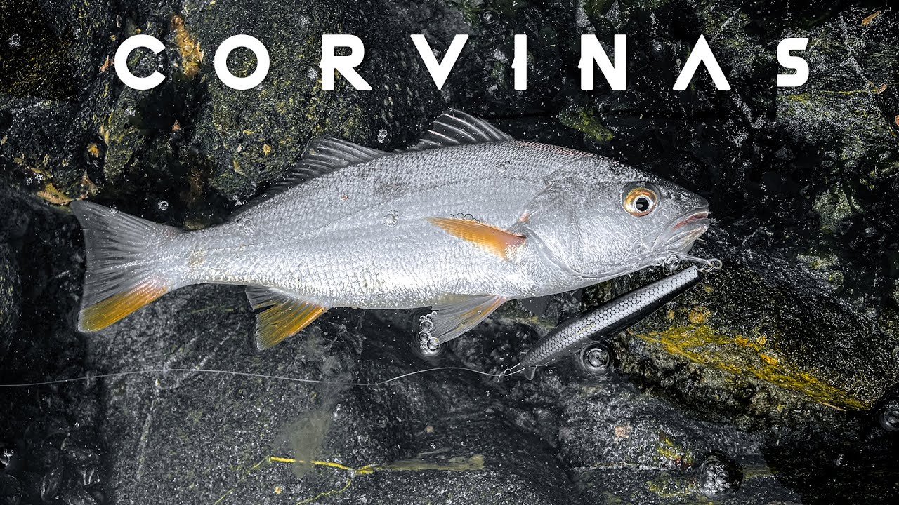 Pesca de CORVINA + TREKKING = Escapar de la REALIDAD 🐟 - YouTube