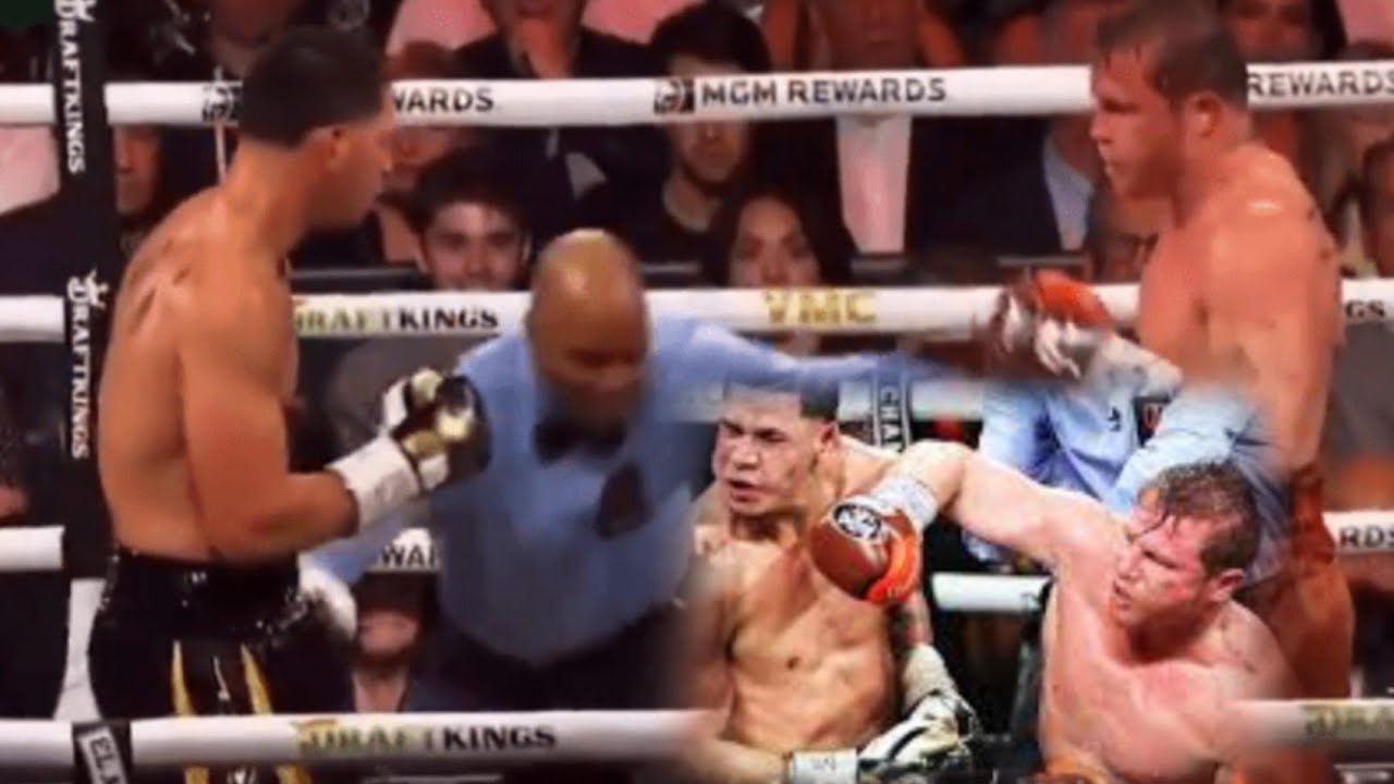 Canelo Alvarez and Ed Berlanga pause mid-fight to have heated argument ...