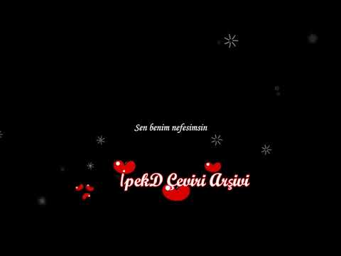 Heer Female Version Türkçe Sözleri - WhatsApp ve Instagram için kısa video