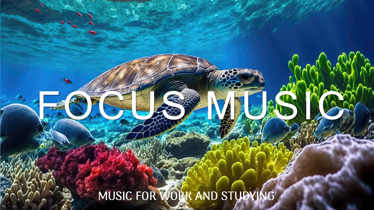 Super Intelligence 🧠 Focus Concentration Music, Studying Music, Memory ...