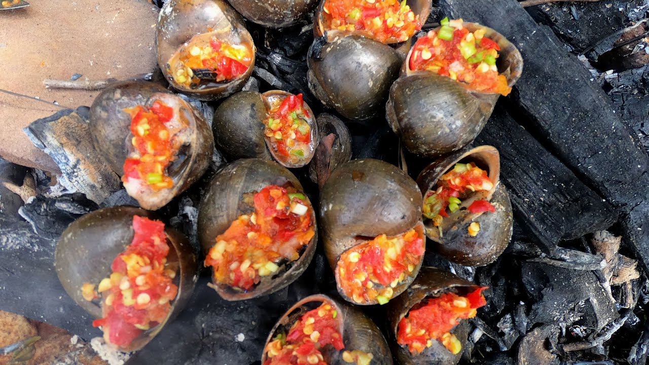 របៀបដុតខ្យងអំបិលម្ទេស | Snail Grill | Daily Life - YouTube