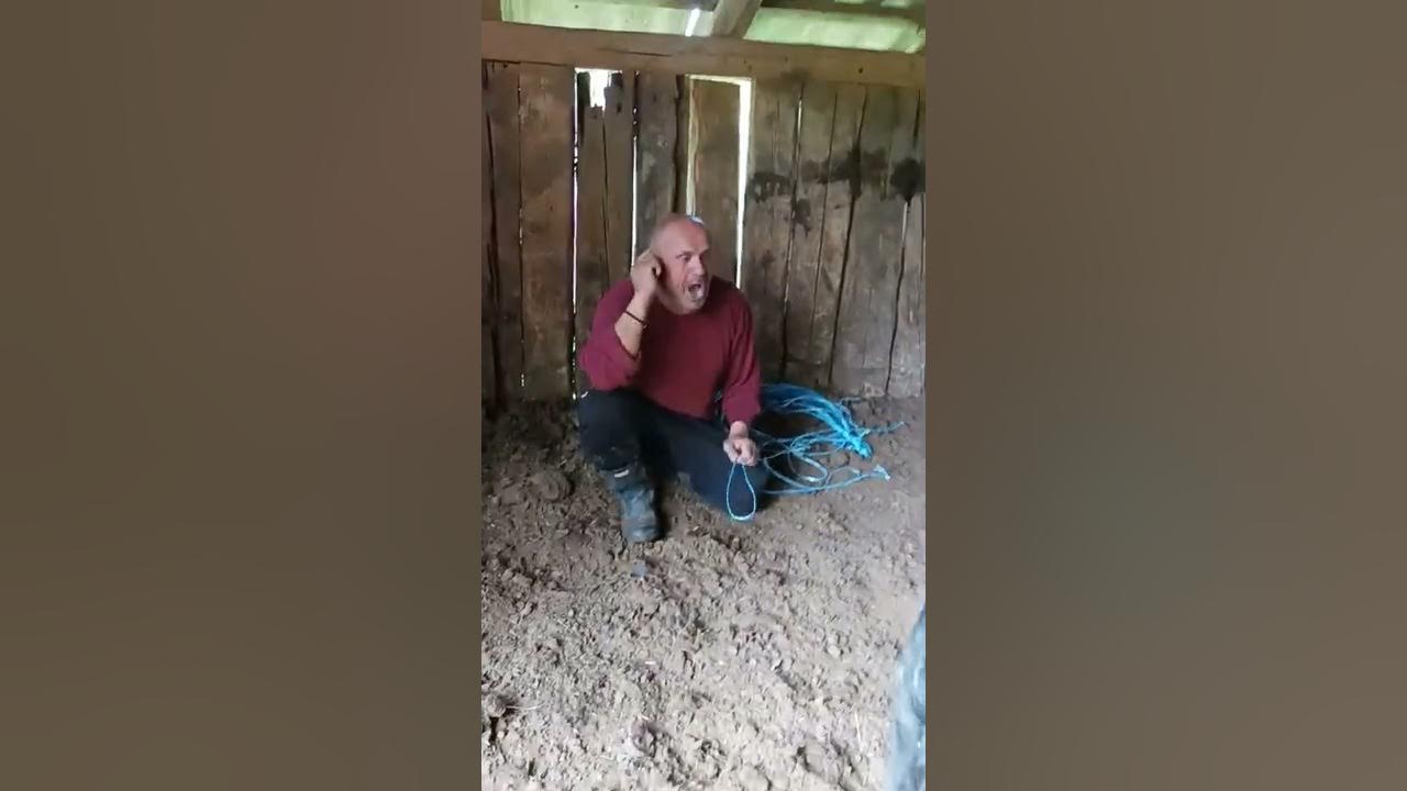 Zmaj od Sipova - YouTube