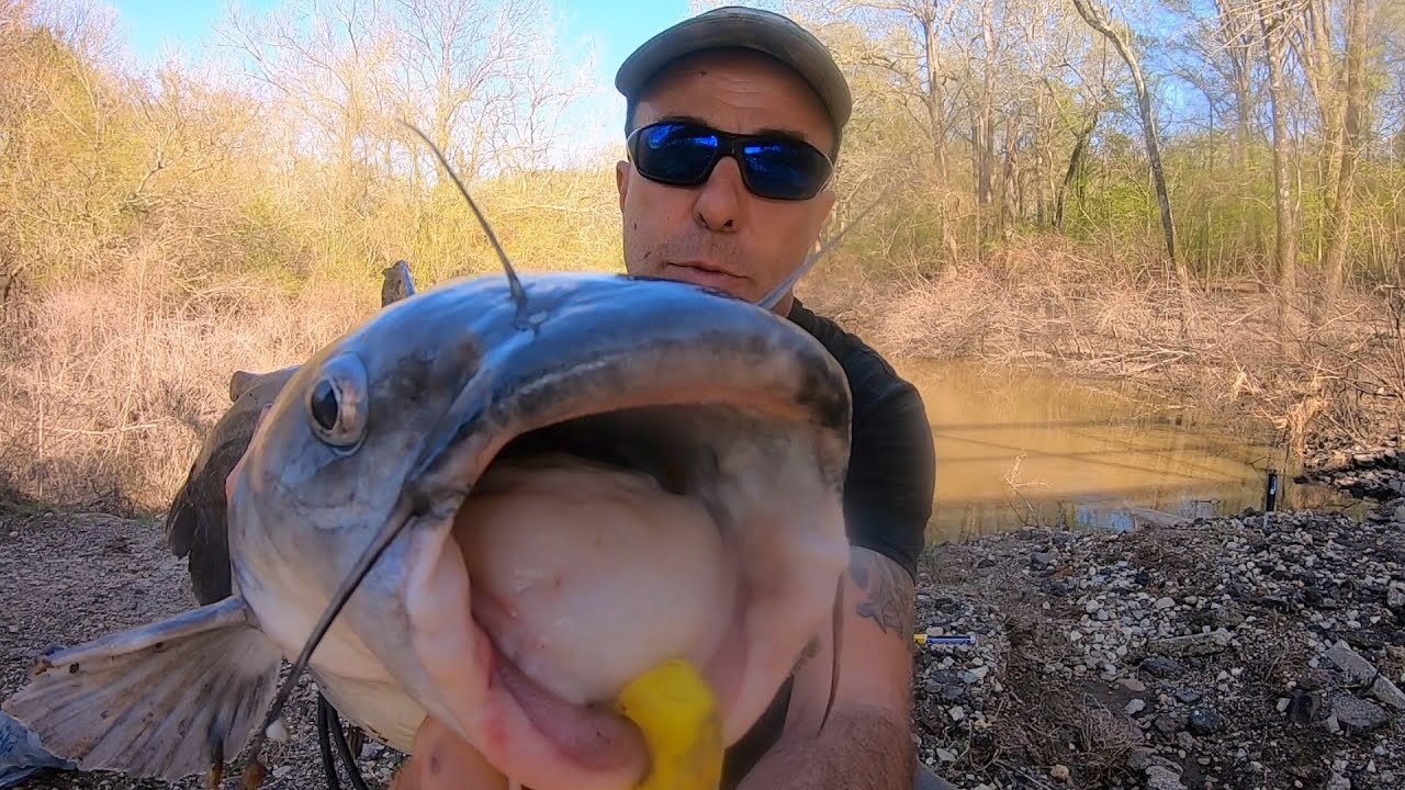 Backwater Blue Catfish Fishing - YouTube