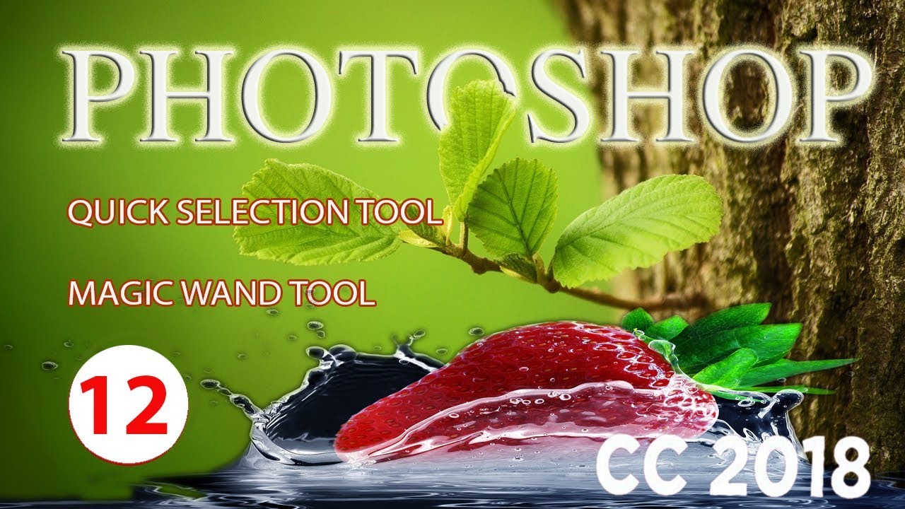 PHOTOSHOP CC 2018 CHO NG I M I B I 12 QUICK SELECTION TOOL C ch S D ng Quick Selection photoshop-cc-2018-cho-ng-i-m-i-b-i-12-quick-selection-tool-c-ch-s-d-ng-quick-selection