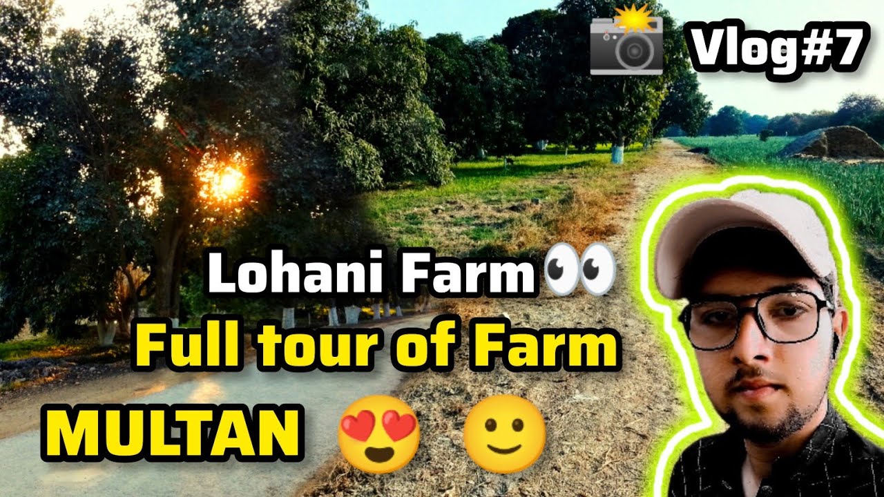 Sharif Khan Lohani Mangoes &Fruit Farm||Full Tour📸 OF FARM|| BEST Vlog😊 ...