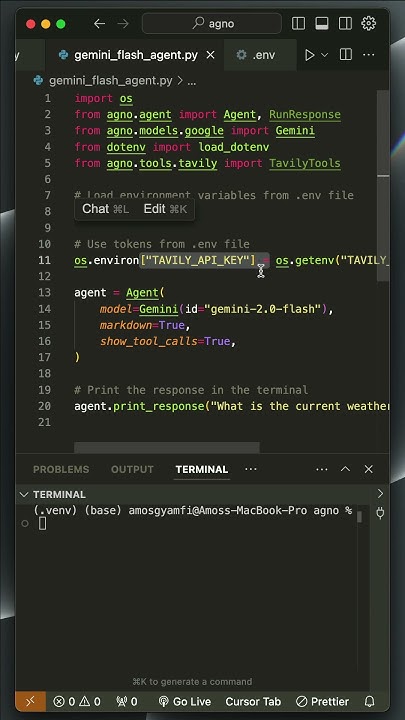 Gemini 2.0 Flash: AI Agent in Python #ai #python #llm #gemini - YouTube