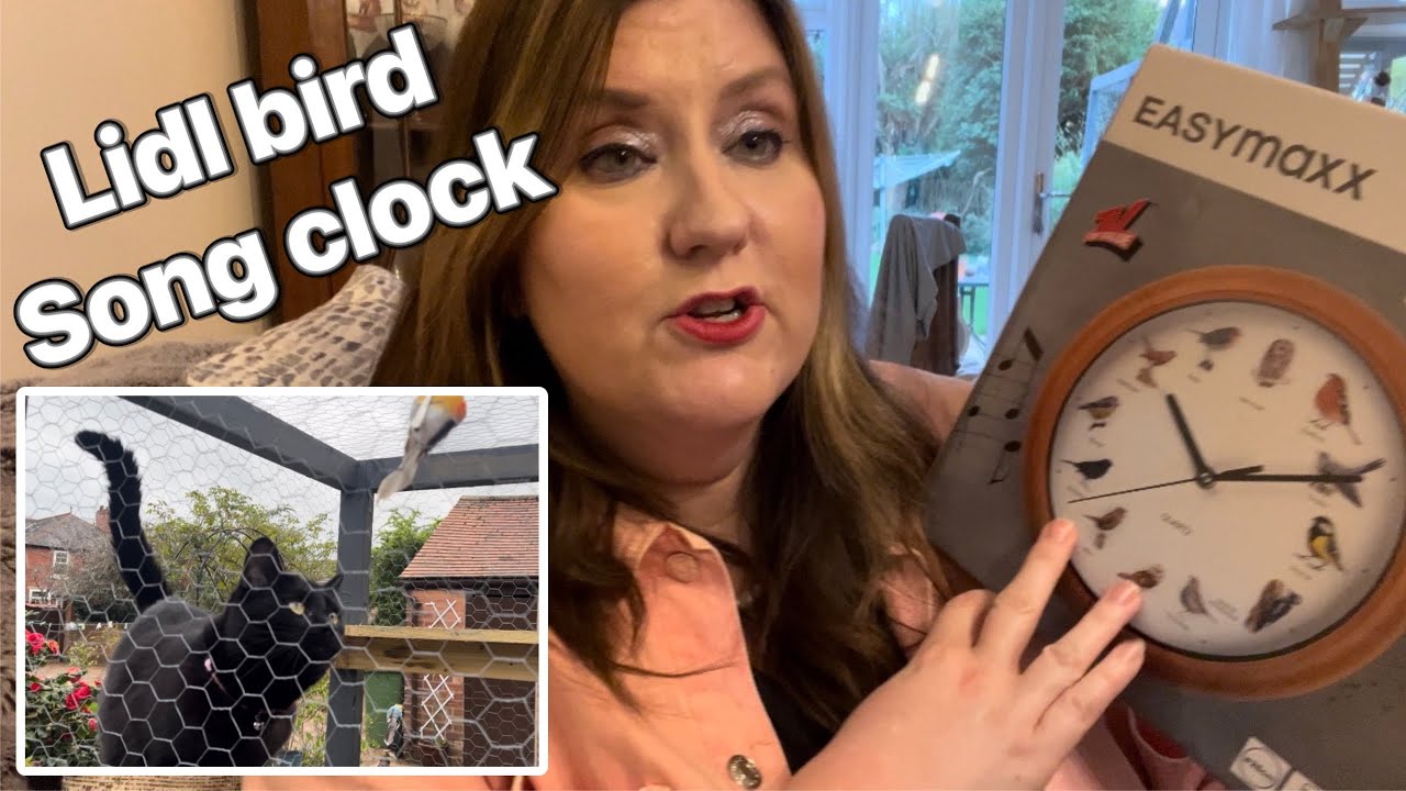 LIDL BIRD SONG CLOCK - YouTube
