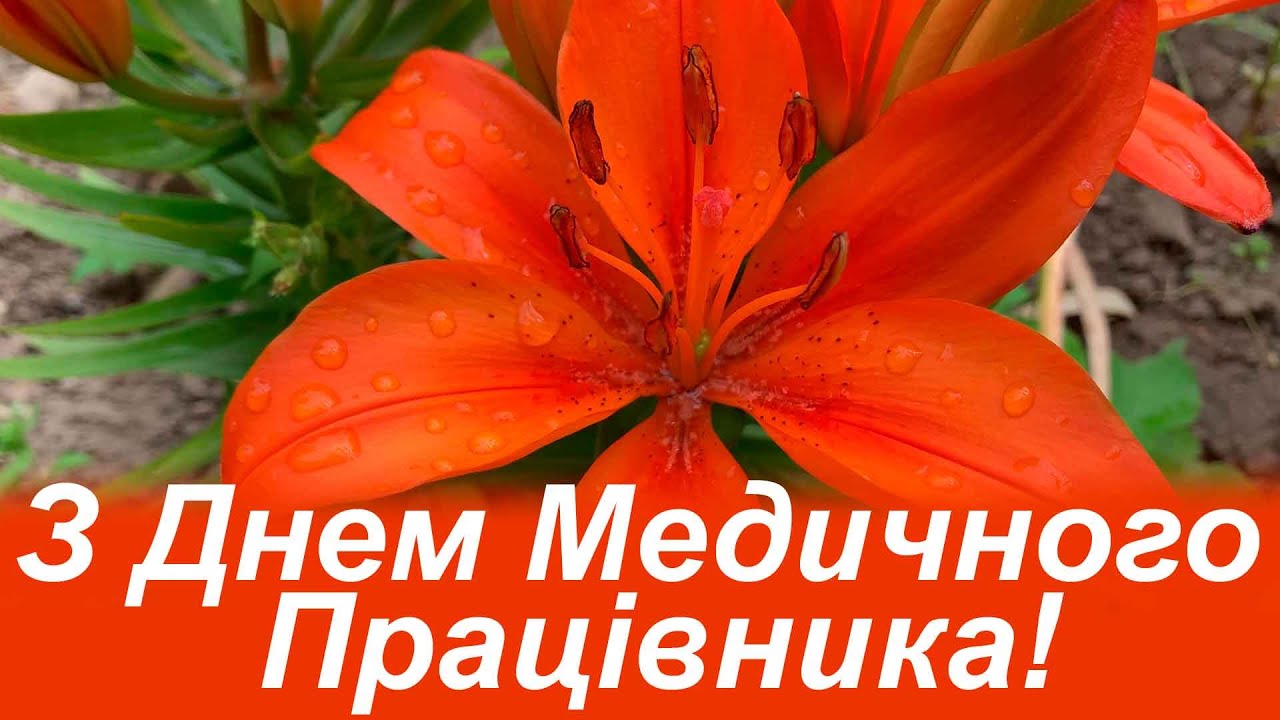 Красиве привітання на День Медика україньскою Вітання з Днем