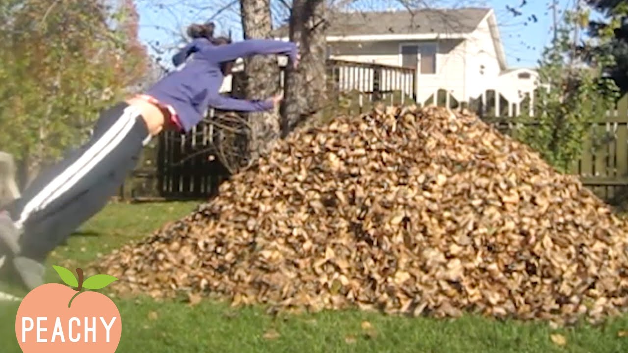 Fails For The Fall 😂 | Funny Videos | Try Not To Laugh - YouTube