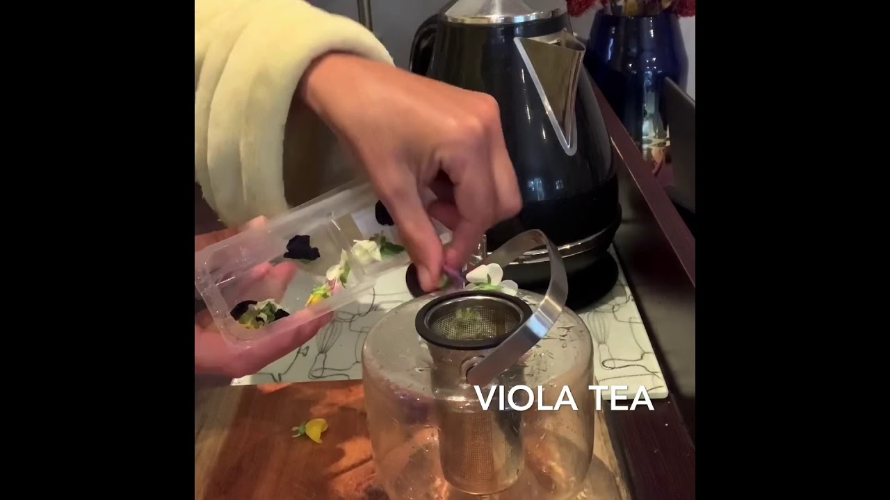 How to make Viola tea - a healing brew - YouTube
