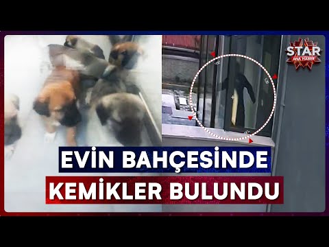 Yavru Köpekleri Sahiplenen Doktor Hakkında Korkunç Gerçek Ortaya Çıktı! | Star Ana Haber