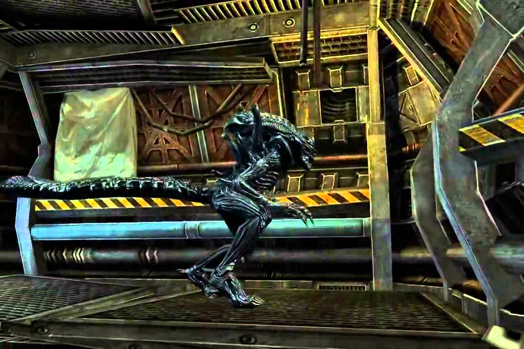 AVP Evolution Launch Trailer - YouTube