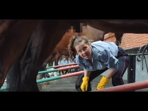 Конная полиция 2018 Русский Сериал(Смотреть Официальный трейлер)