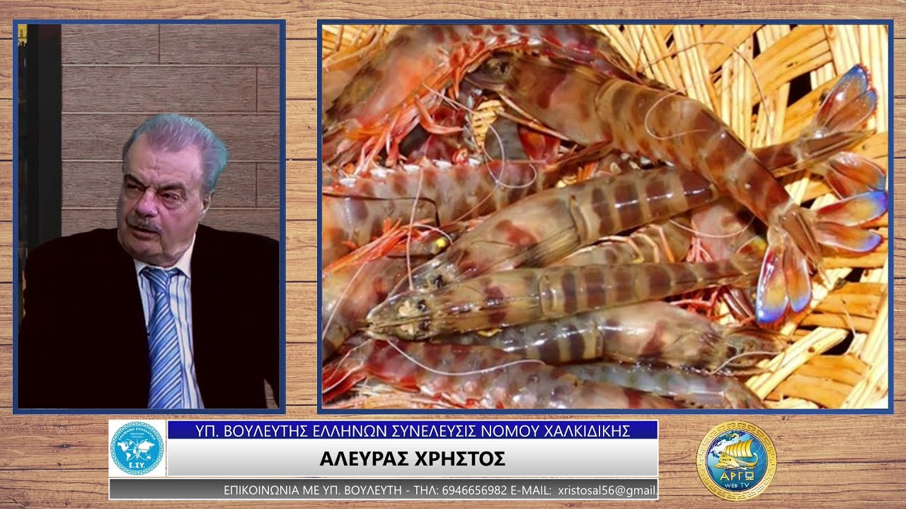 ΧΡΗΣΤΟΣ ΑΛΕΥΡΑΣ: ΚΙΝΔΥΝΟΣ ΕΞΑΦΑΝΙΣΗΣ ΤΗΣ ΓΑΜΠΑΡΗΣ ΣΤΟΝ ΑΜΒΡΑΚΙΚΟ ΚΟΛΠΟ ...