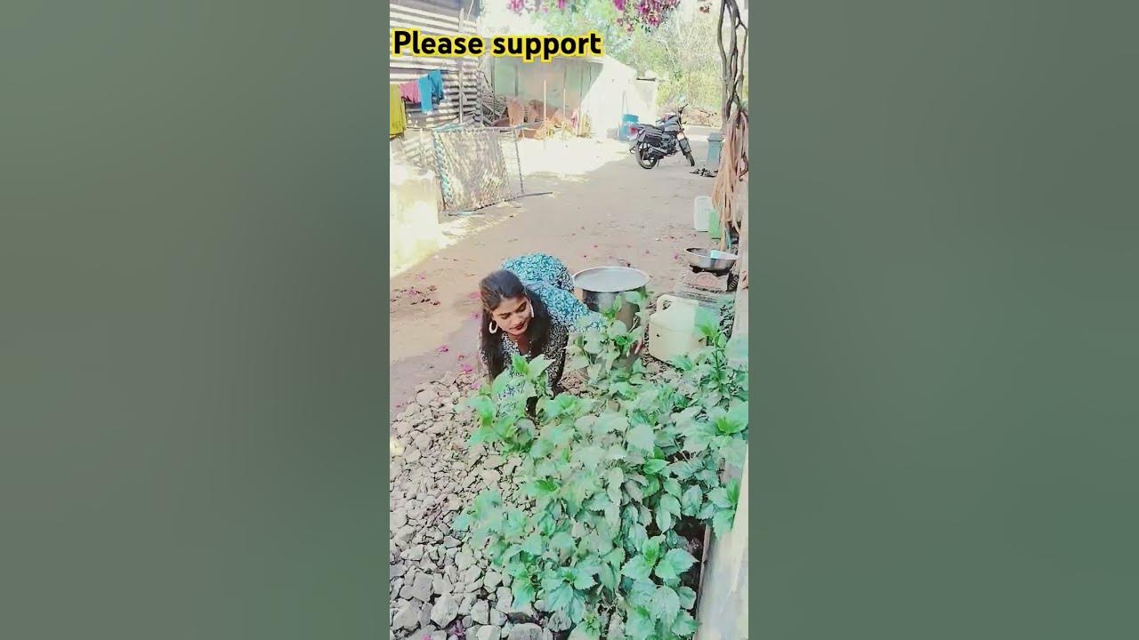 teri umeed Tera intezaar,#shortsvideo #viral #trending #shortsfeed #youtubeshorts #shortsviral # ...