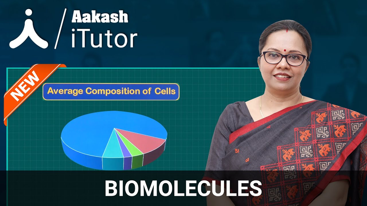 Biomolecules Class 11 Zoology at Anna Plummer blog