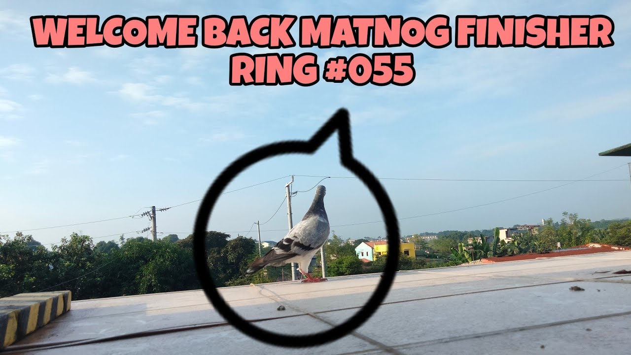WELCOME BACK MATNOG FINISHER RING #055 | CASUPANG LINE - YouTube