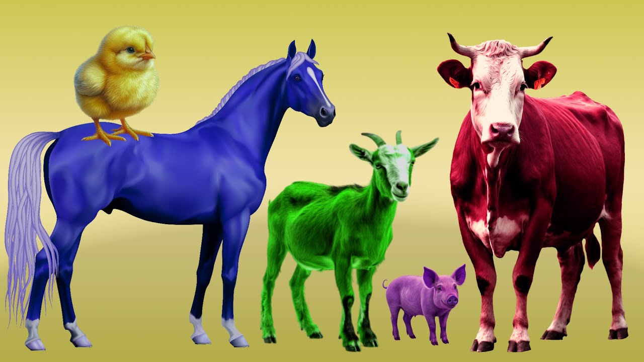 Learn Colors with Farm Animals 🐮🌈 | Colors for Kids & Toddlers - YouTube