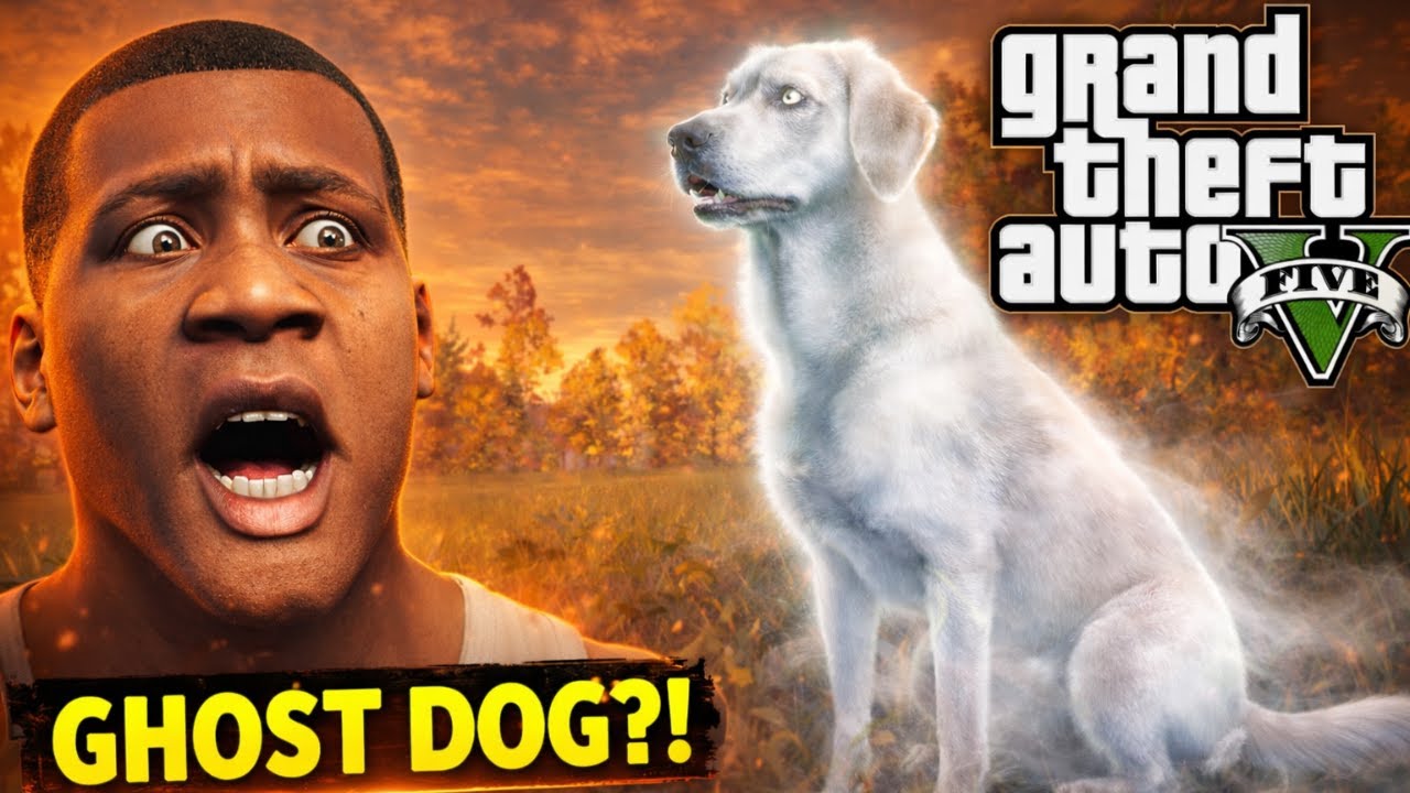 🌲🐶 The Mysterious Ghost Dog of GTA 5 👻 - YouTube