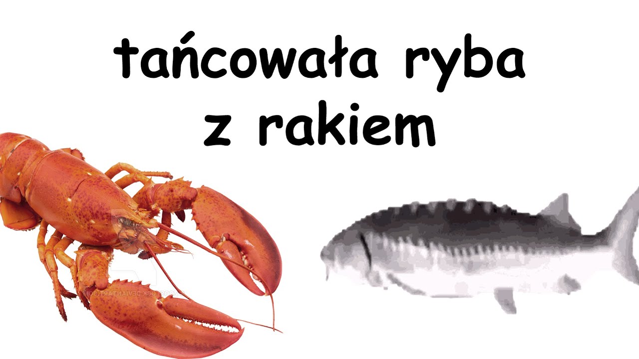 tańcowała ryba z rakiem - YouTube