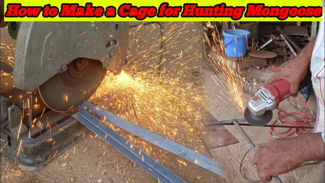 Aug 01, 2023 How to make a cage for catching mongoose - YouTube