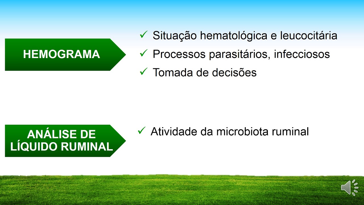 ACIDOSE RUMINAL EM BOVINOS: Exames complementares - YouTube