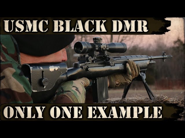 Rifle Usmc Dmr USMC DMR's...best Of The Breed? | M14 Forum