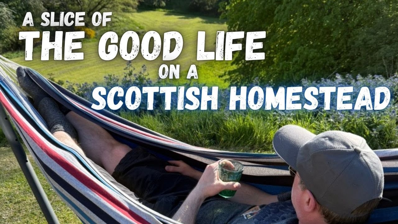 A Slice of the Good Life on a Scottish Homestead - YouTube