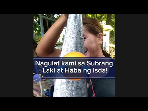 Grabe Nagulat Kami ang Haba at Laki ng Isdang ito😏 - YouTube