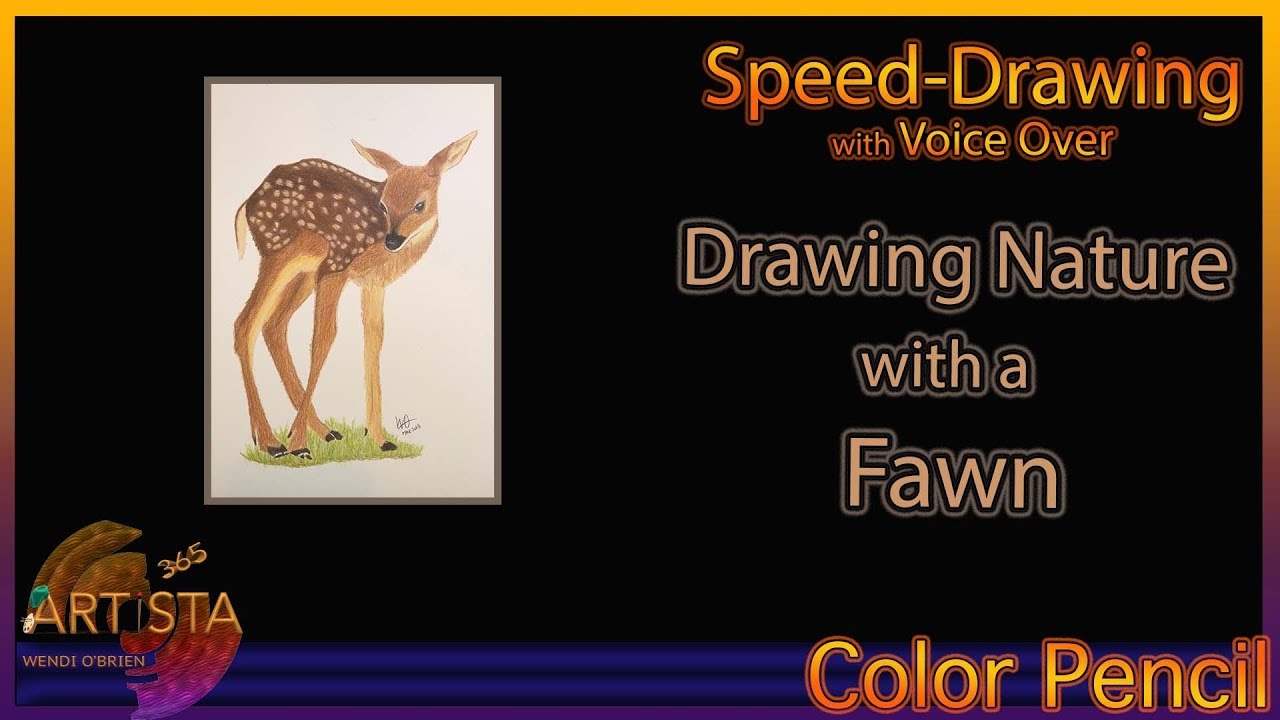 Drawing a Fawn with Colored Pencil | Nature with Colored Pencil - YouTube