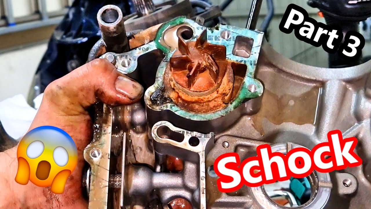 Motorblock zerlegen - Wasserpumpe undicht / Aprilia Leonardo 150 Rotax ...